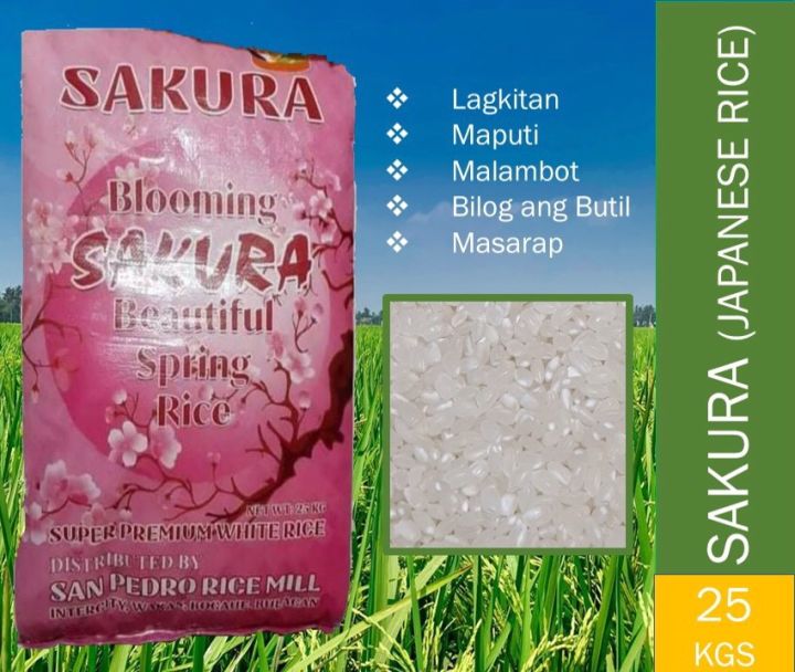 Sakura Japanese Rice 25kg | Lazada PH