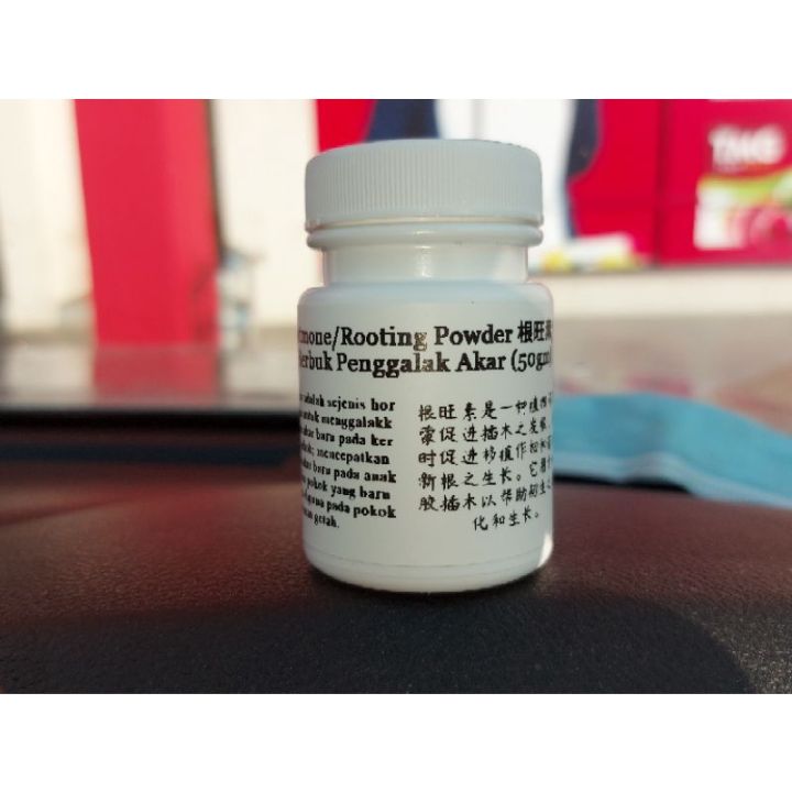 IBA Rootmone/Rooting Powder 根旺素/生根粉 Serbuk Penggalak Akar (50gm) | Lazada