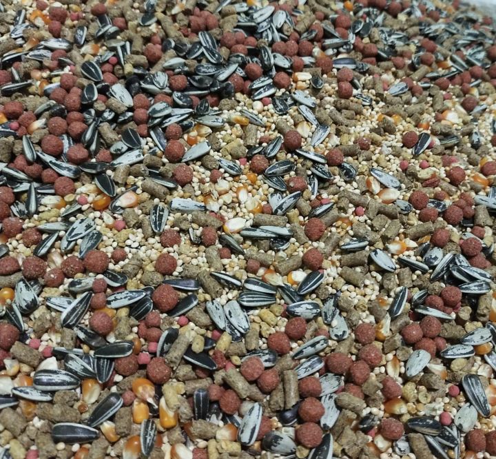 makanan hamster mix racikan pakan harian marmut pakan harian kemasan ...