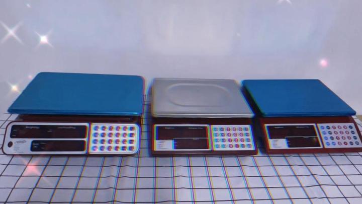 General Master Price Computing Scale Digital Scale (Timbangan) 30kg ...