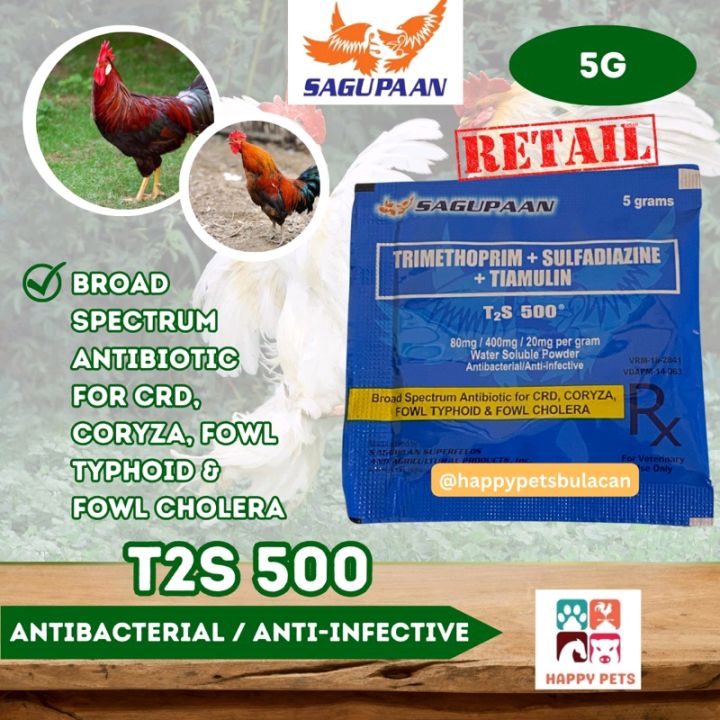 T2S 500 - Per sachet | Lazada PH