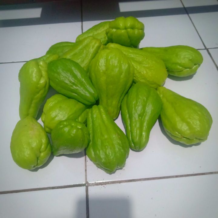 labu siam 1 kg | Lazada Indonesia