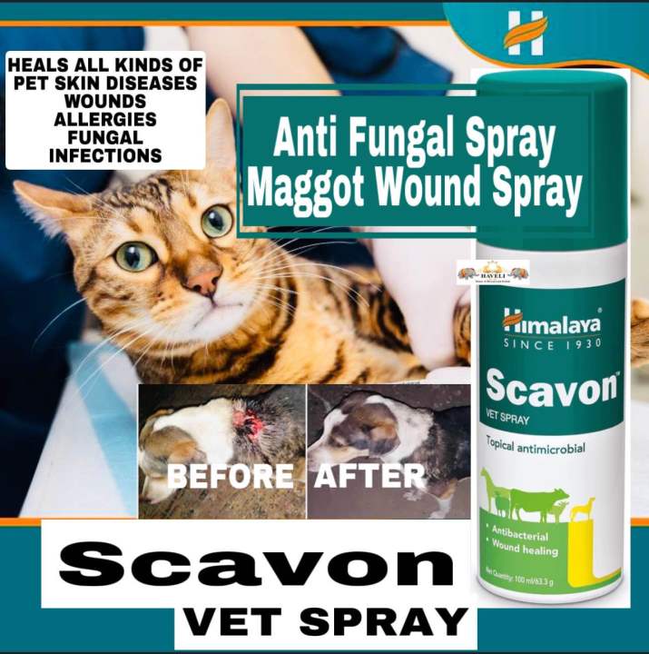 Himalaya Scavon Vet Spray Topical Wound Skin disease Healer fungal ...