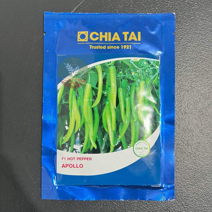 APOLLO F1 PANIGANG PEPPER SEEDS CHIA TAI HYBRID PANIGANG PEPPER SILING ...