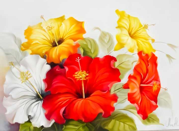 hiasan dinding lukisan cetak bunga kembang sepatu plus bingkai ukuran ...