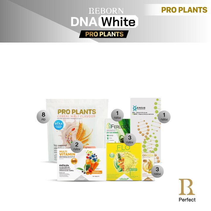 Reborn Dna White (PRO PLANTS CEREAL MALT ) | Lazada.co.th