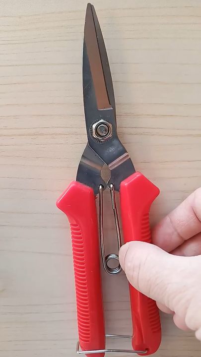 GUNTING DAHAN RUNCING 200MM GUNTING KEMBANG BONSAI GUNTING BUAH LANCIP ...