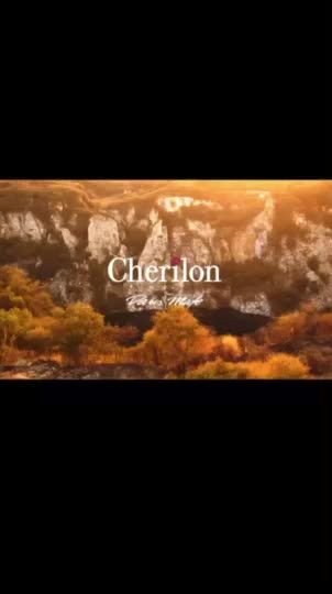 Cherilon DansMate FlexiFit Active Bra เชอรีล่อน สปอร์ตบรา ชุดออกกำลังกาย ชุดฟิตเนส คละแบบ MPN ...