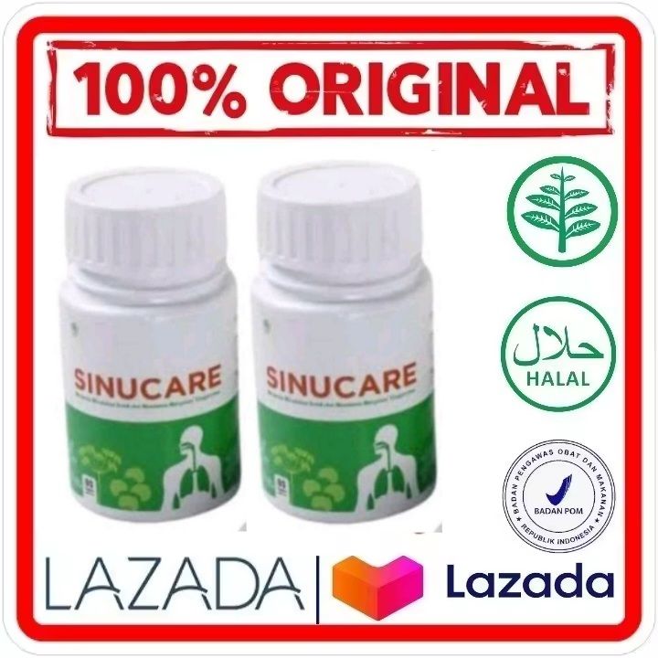 SINUCARE OBAT HERBAL ATASI SINUS - BRONKITIS - ASMA - DAN GANGGUAN PARU ...