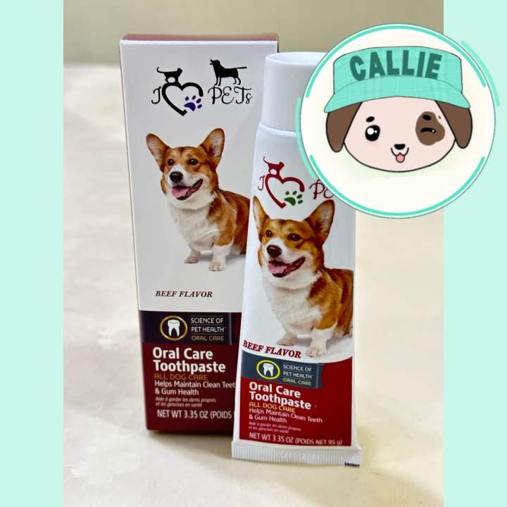 Pet Dog Toothpaste Oral Care Beef flavor | Lazada PH