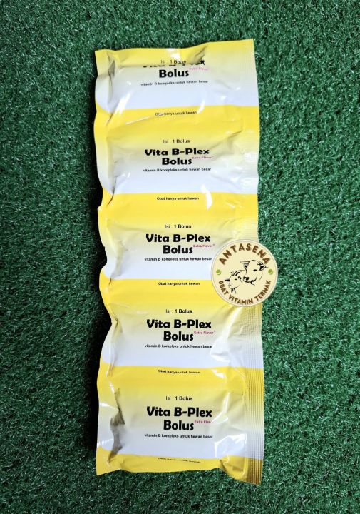 VITA B PLEX vitamin b komplex untuk ternak ( harga untuk 1 strip isi 5 ...