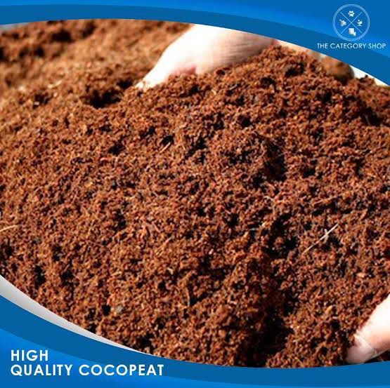 COCO PEAT FOR PLANTS 1KILO.PURE COCO DUST | Lazada PH
