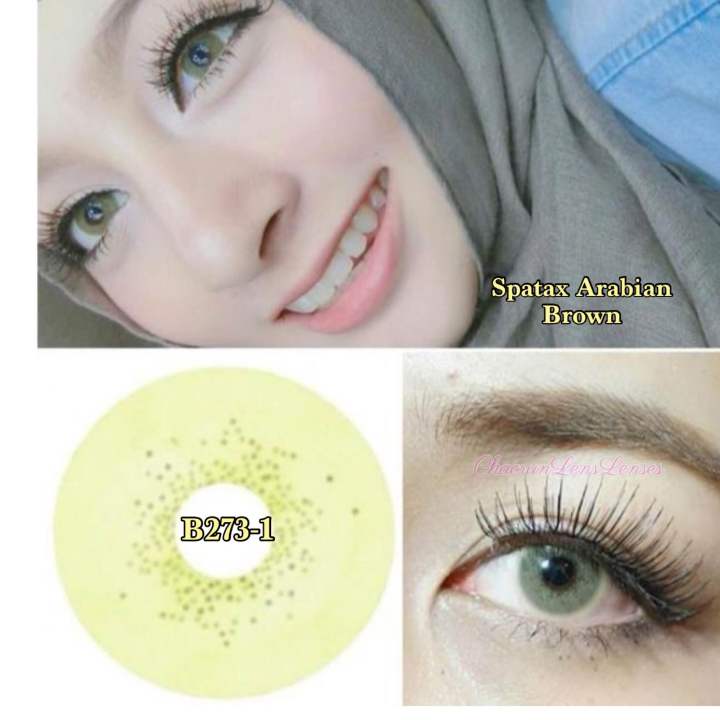 Spatax 14.5mm contact lens lenses,SoftLens colour brown and Gray ( 0 ...