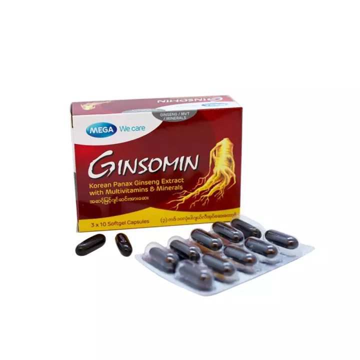 MEGA GINSOMIN MULTIVITAMIN (1box 30caps) | Lazada
