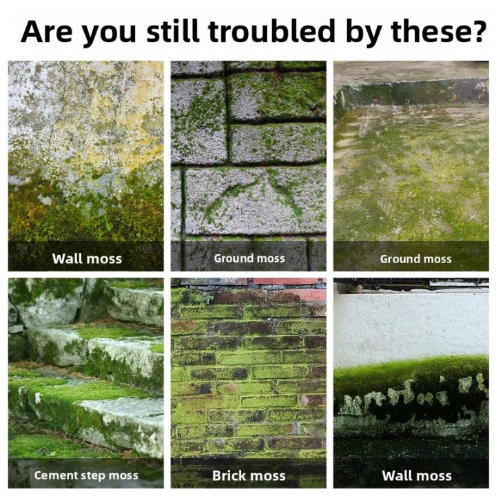 Moss and Algae Remover for Cement and Wall Surfaces | Lazada PH