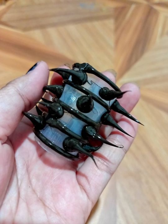Original Black Bolitas Rambutan with Spiky/Additional Pl*asur* for S*x ...