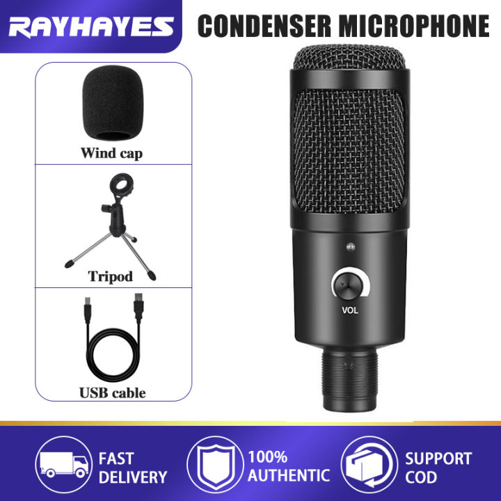 RAYHAYES Condenser microphone for pc computer recording dubbing live ...