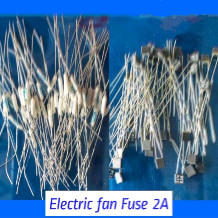 ELECTRIC FAN FUSE 2A 10pcs | Lazada PH