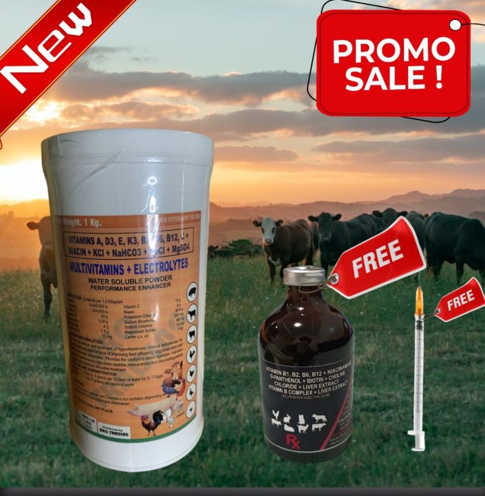 multivitamins powder 1 kilo + bcomplex 100ml + syringe | Lazada PH