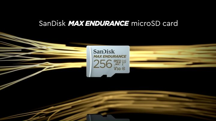 SANDISK microSD MAX ENDURANCE 256GB, 100MB/s, Class10 UHS-I (SDSQQVR ...