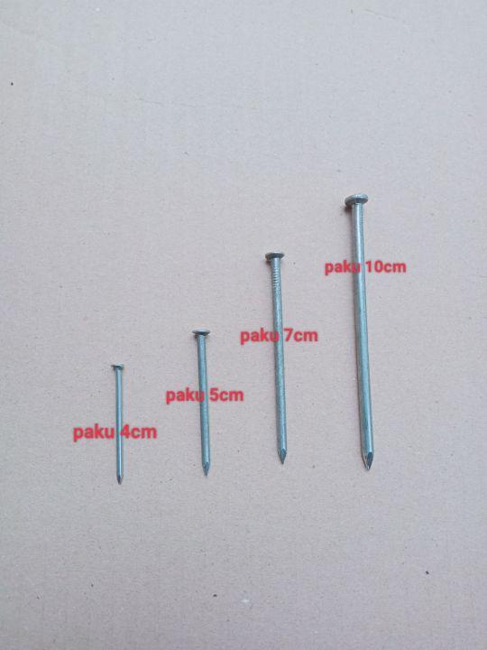 1 Kg Paku Kayu / Paku Seri / Paku kaso / Paku Reng / Paku tajam 1 kg ...