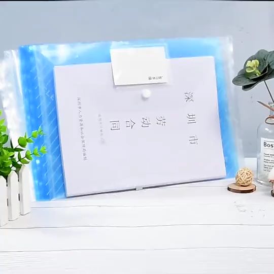 A4/A5 File Bag Transparent Plastic Thicken Button Closure Folder ...