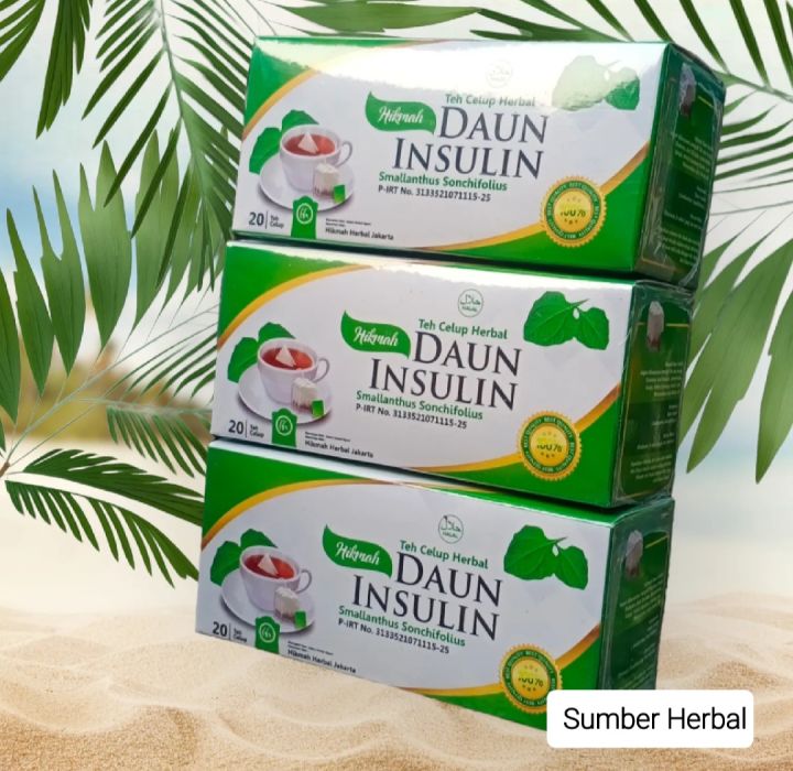 Paket 2 box Teh celup daun insulin | Teh daun insulin hikmah 1 box isi ...