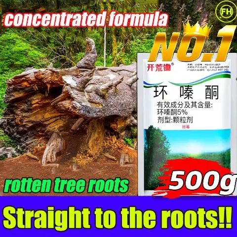 💥Kill the roots straight! ! 💥 Thoroughly remove rot from the root, kill ...