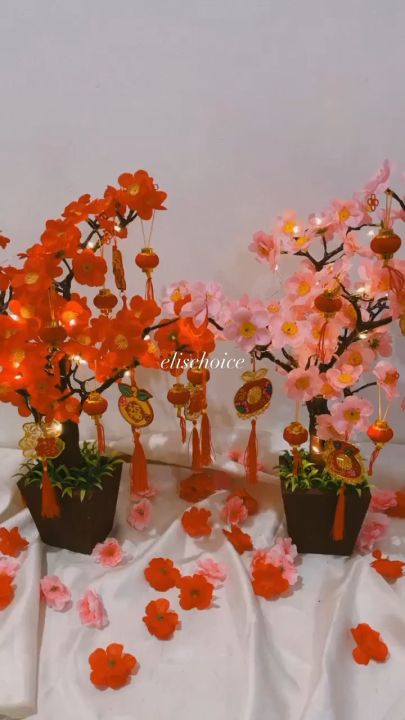 POHON MEIHUA IMLEK + POT BUNGA / POHON SINCIA BUNGA SAKURA MEI HWA ...