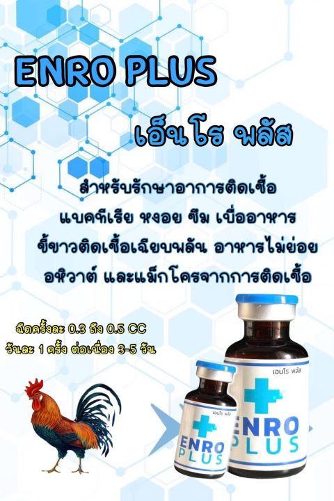 เอ็นโร พลัส Enro plus อาหารไก่ชน | Lazada.co.th