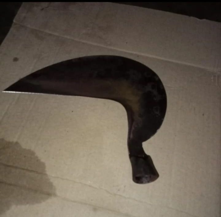 arit rumput | Lazada Indonesia