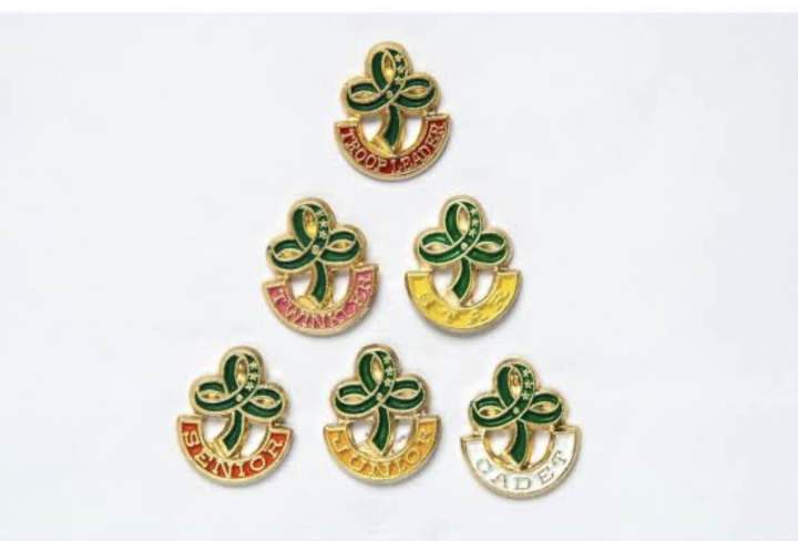 ORIGINAL GIRL SCOUT OF THE PHILIPPINES PIN ACCESSORIES TWINKLER, STAR, JUNIOR,SENIOR, TROOP ...