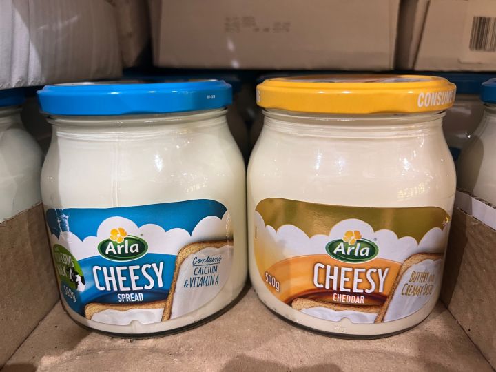 Arla Cheesy Spread 500g | Lazada PH