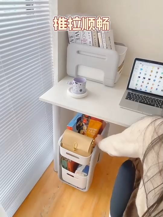 Multi-functional storage rack Shelf organizer under Desk Push Pull ...