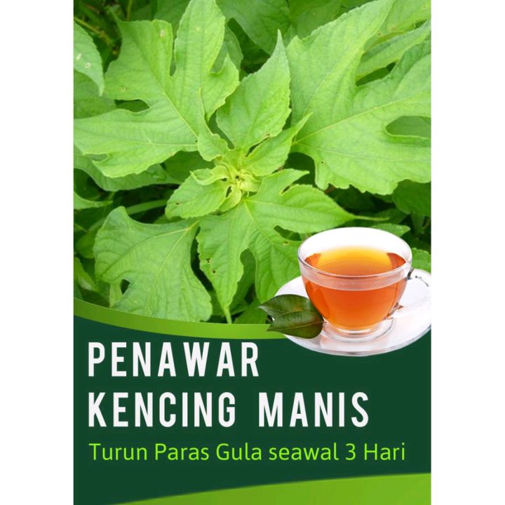 Teh Insulin 30 Uncang Homemade | Lazada