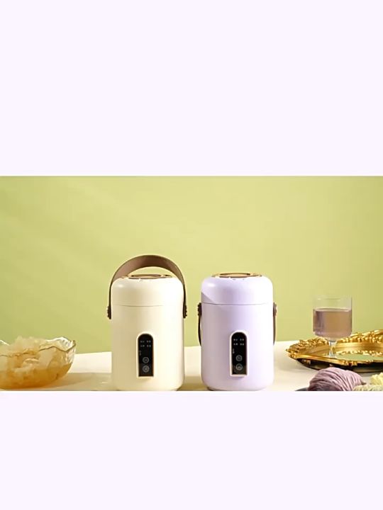 Portable Health Electric Stew Pot 500ML Electric Stew Cup Small Office ...