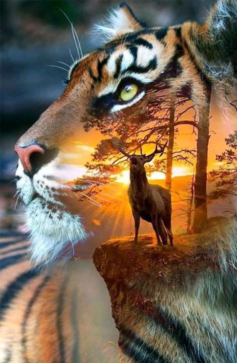 POSTER CETAK, HARIMAU DAN RUSA, Hiasan Dinding/ Lukisan Cetak/ Tanpa ...