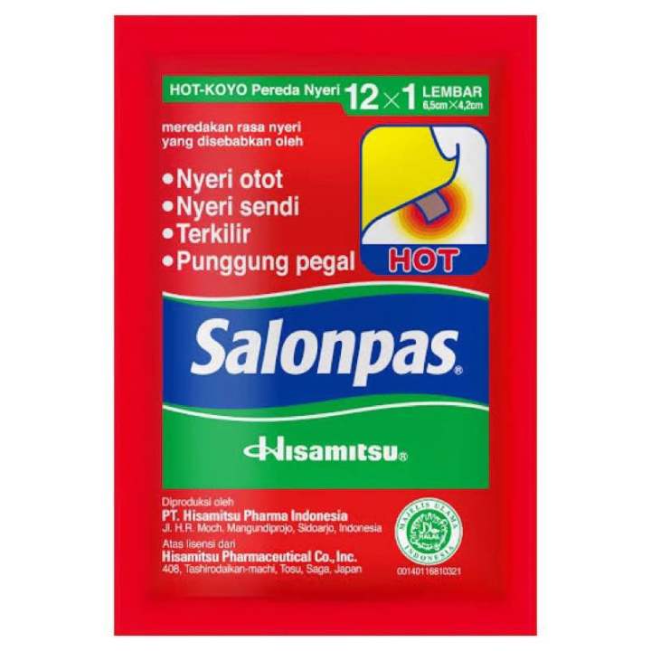 SALONPAS HISAMITSU MEDICATED PLASTER Original From Indonesia | Lazada PH