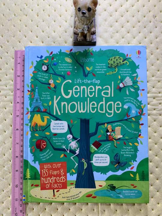 Usborne Lift-the-Flap General Knowledge : Board Book (Pre-owned ...