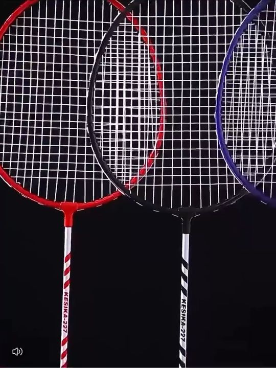 2pcs Badminton Racket Set Professional Double Racket With Free ...
