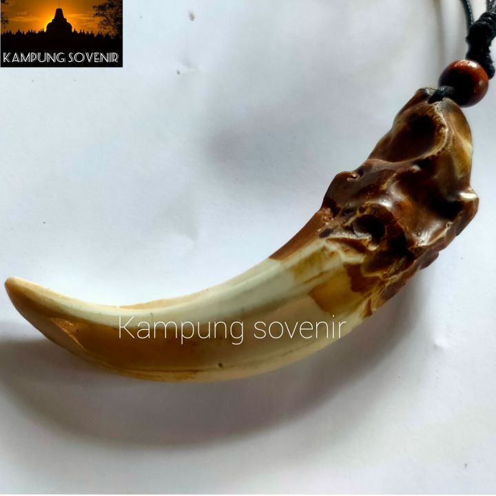 kalung taring harimau/taring macan 7cm | Lazada Indonesia