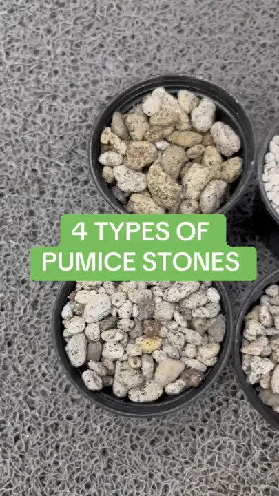 Pumice Stones 5Kg Matanghito, Monggo, Corn by Plant Culture PH For ...