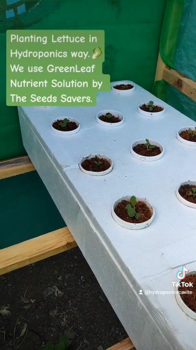Hydroponics Nutrient Solution (GREENLEAF) 500ml/1LITER A and B- 4packs ...
