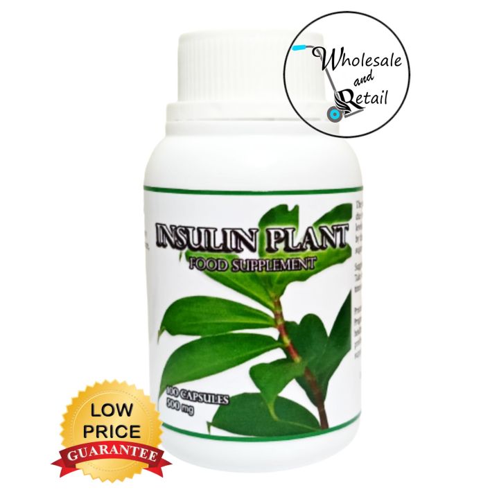 Insulin Capsules Food Supplement 100 Capsules | Lazada PH