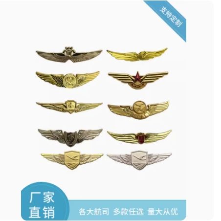 Aviation Pilot Badge Commemorative Medal Badge | Lazada PH