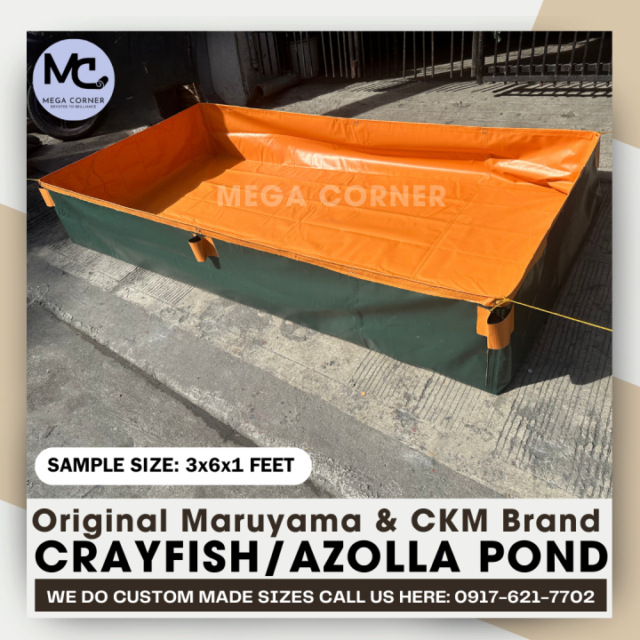 4x2x2ft Affordable Azolla bed and trapond made with high quality ...