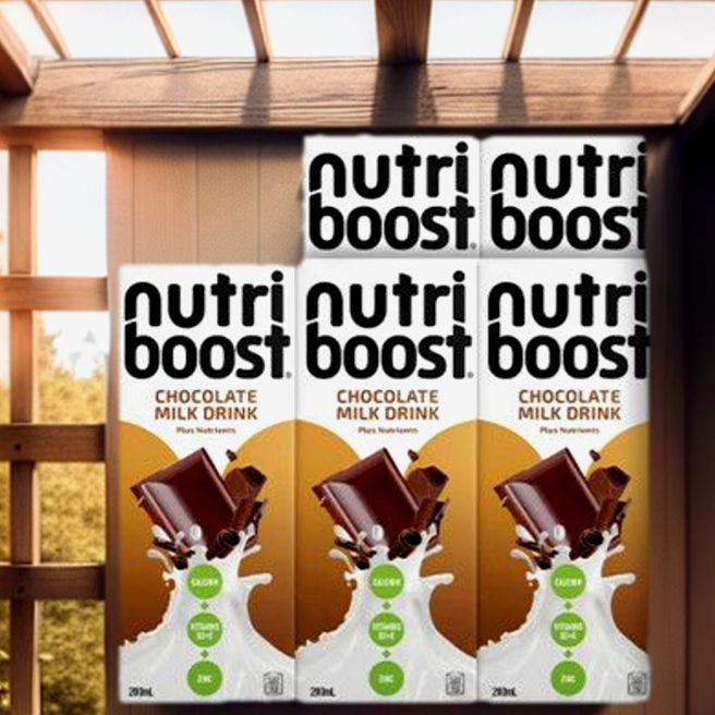 Nutriboost Chocolate Milk Drink 200ml - Pack of 6 | Lazada PH