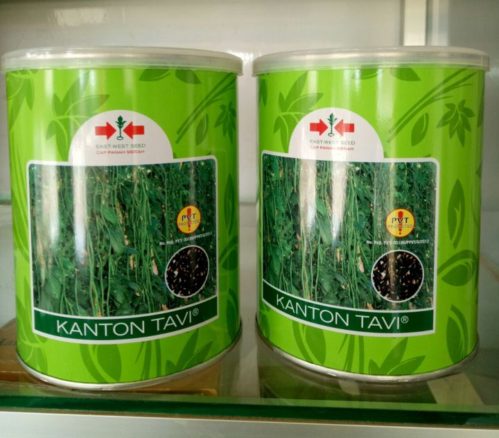 Benih kacang panjang biji hitam Kanton tavi cap panah merah netto 500 ...