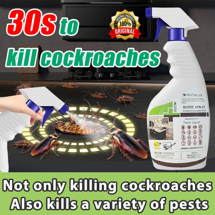 30s to kill cockroaches QNS cockroaches killer cockroach spray ...