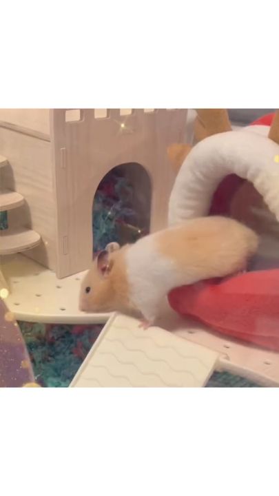 【READY-STOCK】Hamster Wood House platform hamster ladder hamster cage ...